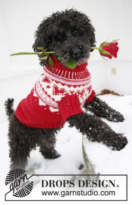 Christmas Dog Sweater Free Knitting Pattern - Knitting Bee