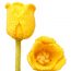Tulips to Knit - Free Pattern - Knitting Bee