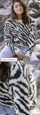 50+ Free Sweater Knitting Patterns for Women - Knitting Bee